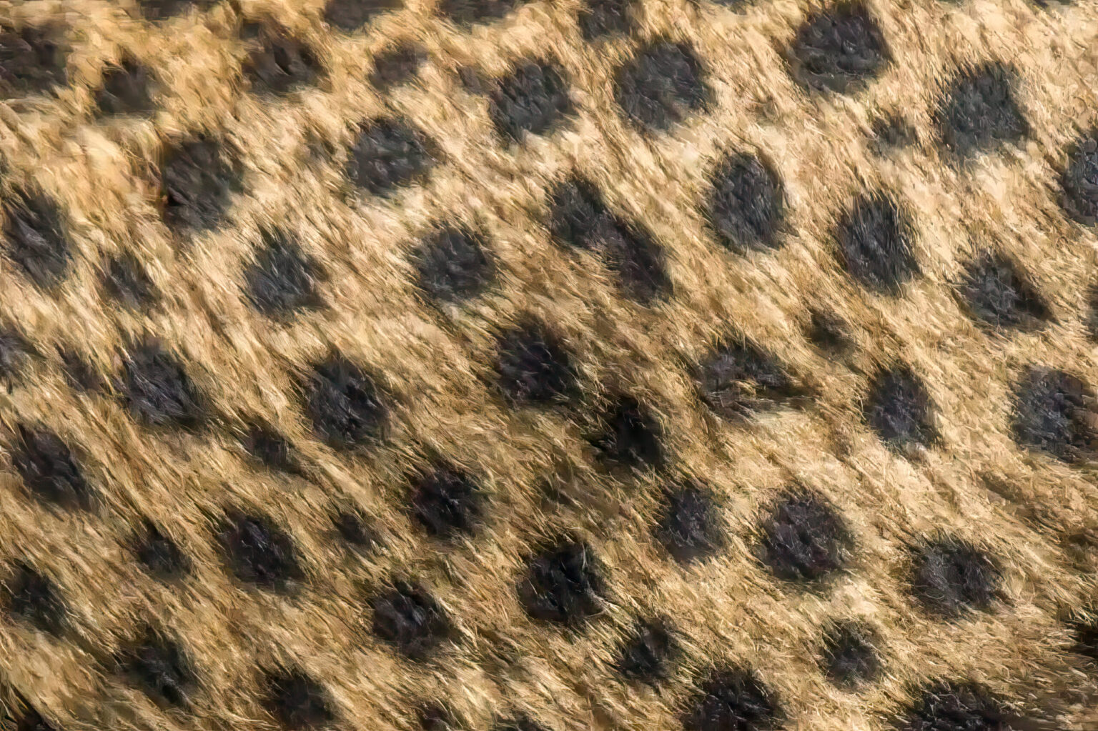 Spotting The Difference | Wildlife Vagabond